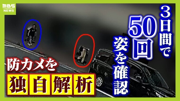 「典型的な関係希求型ストーカー」犯罪心理学から見る谷本容疑者の動機・人物像「女性を追いかけること自体に...」【神戸女性刺殺事件】 | 特集 | MBSニュース