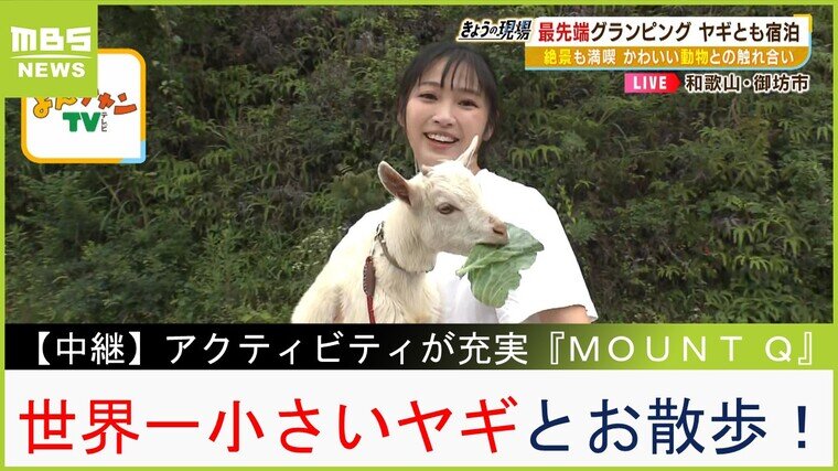 【中継】ヤギと泊まれるグランピング施設が新たにオープンへ！アクティビティが充実「MOUNT Q」 かわいい動物とのお散歩＆BBQを満喫！ | 特集 | MBSニュース