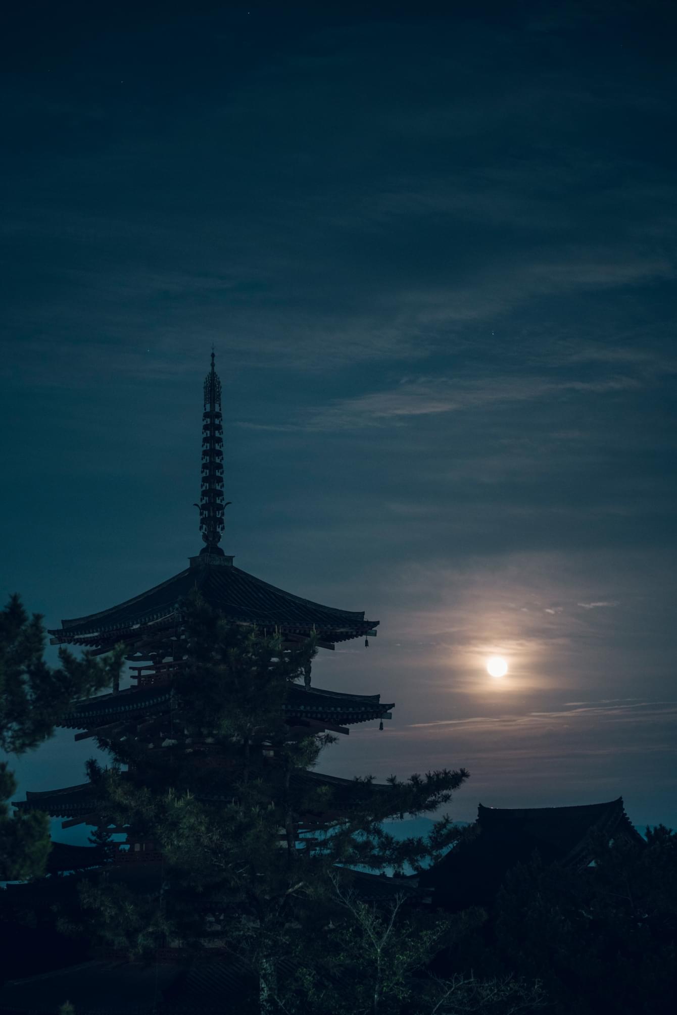 STAGE2024 | OTOBUTAI | MBS毎日放送